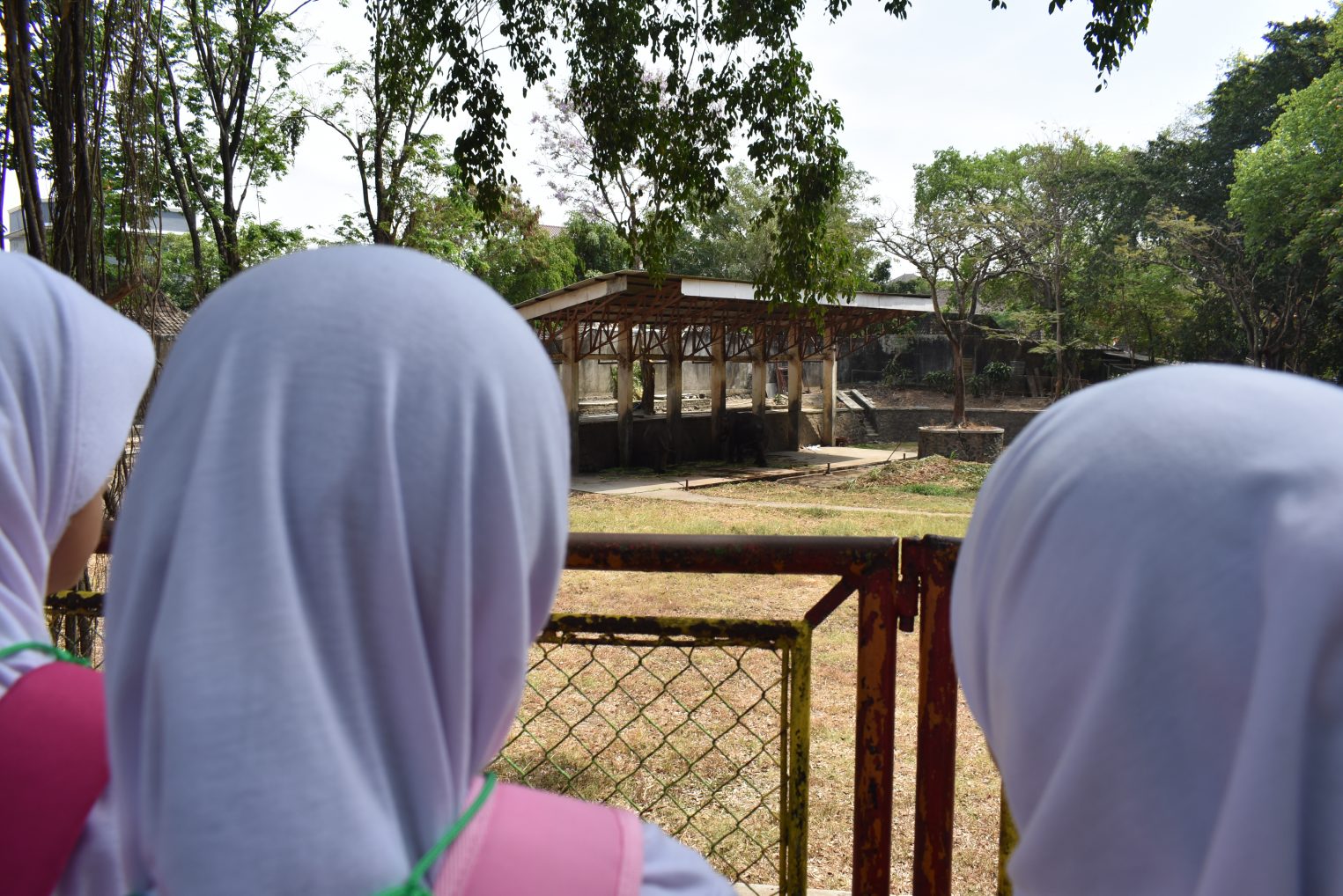 DSC_2561 - Copy - YPID